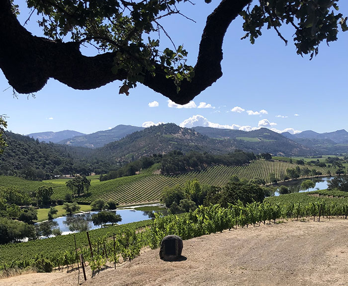 Robert Parker Wine Advocate - Unbiased Wine Reviews