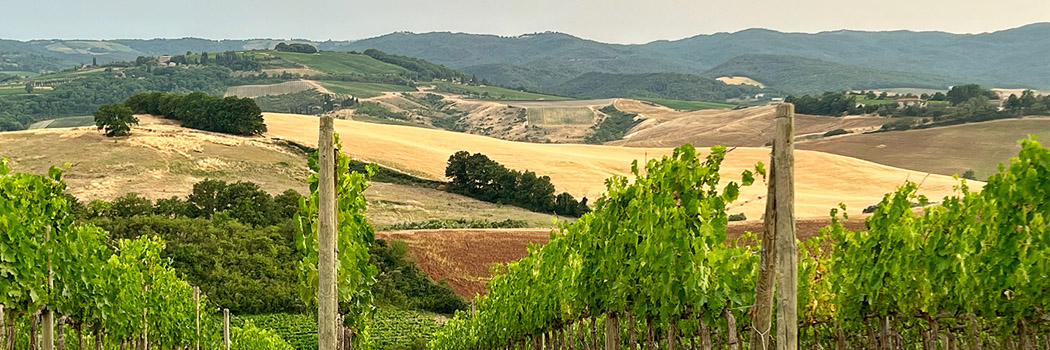 Robert Parker Wine Advocate - Unbiased Wine Reviews